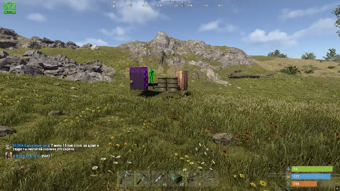 CHAMS - Rust | Cheatrise